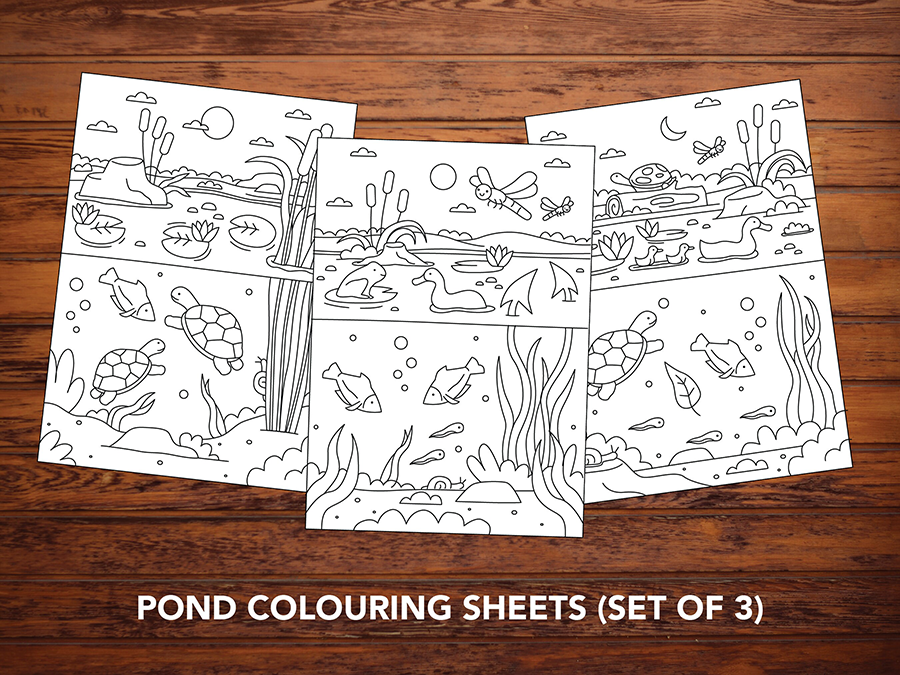 Pond life colouring sheets set - Curiology